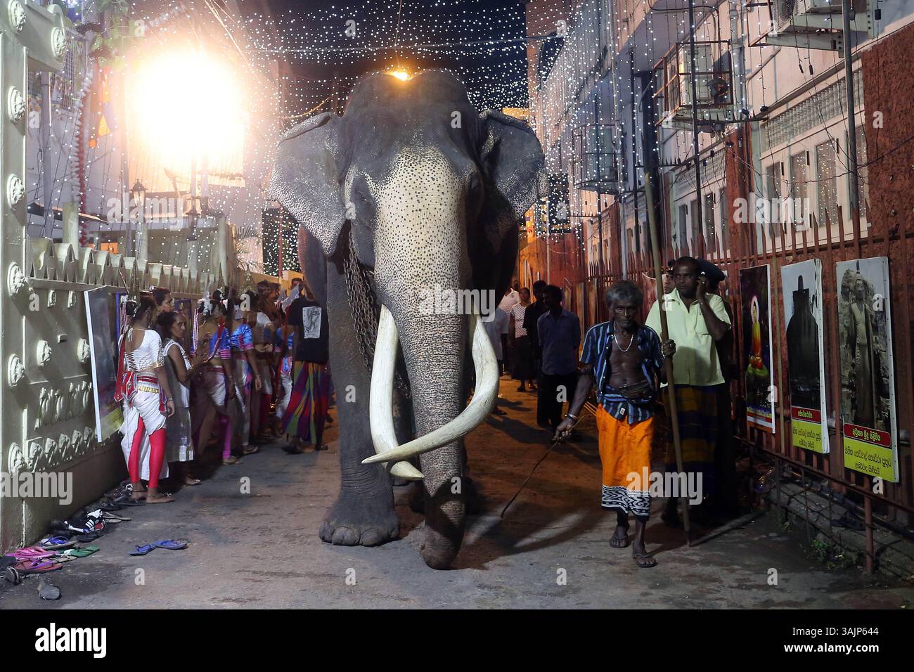 June 25, 2017 - Colombo, Western Province, Sri Lanka - Sri Lankan ...