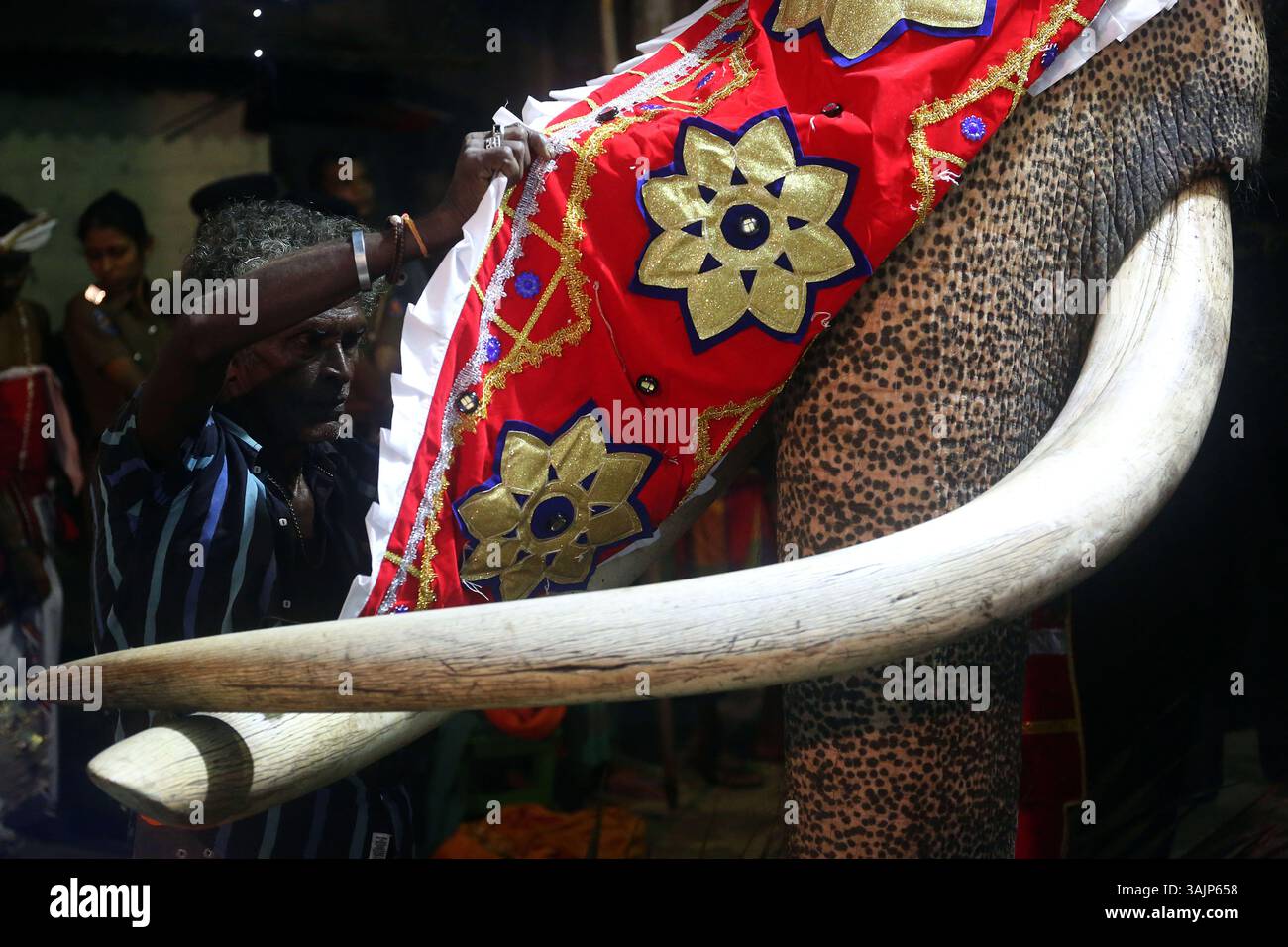 June 25, 2017 - Colombo, Western Province, Sri Lanka - Sri Lankan ...