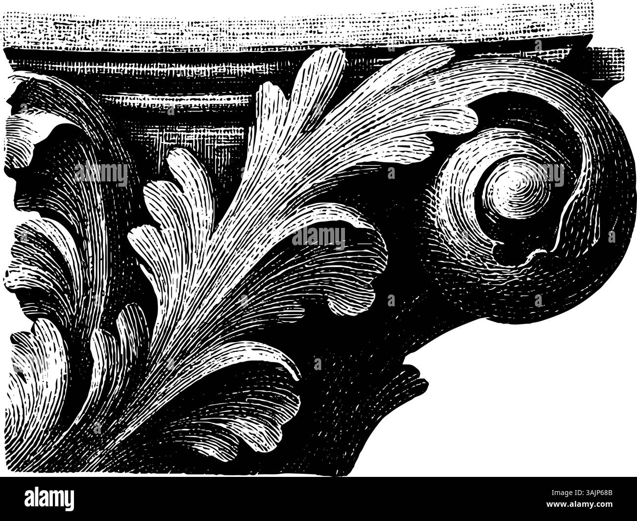 Intricate vintage architectural ornament with leaf and scroll design ...