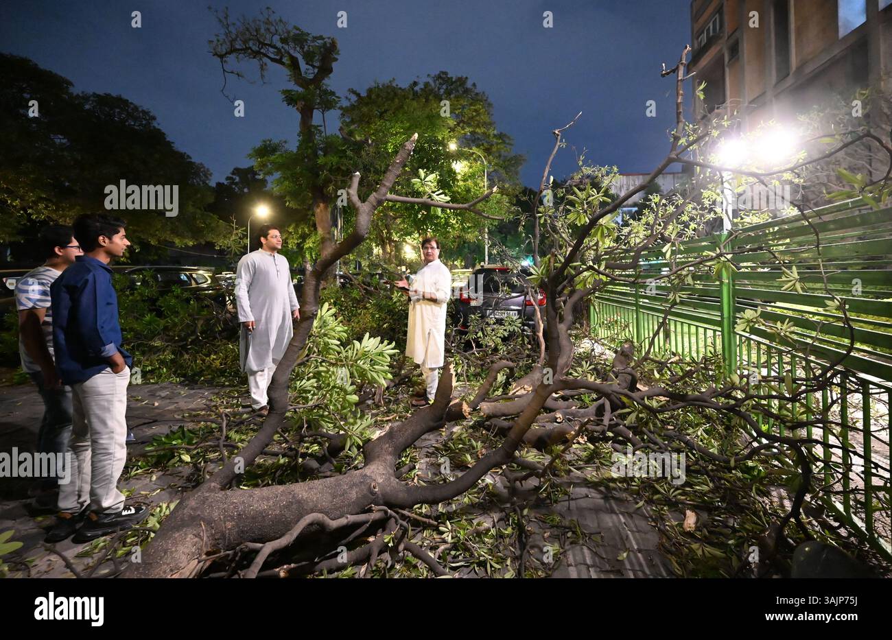 NEW DELHI, INDIA - APRIL 11: A tree fell down after a heavy dust storm ...