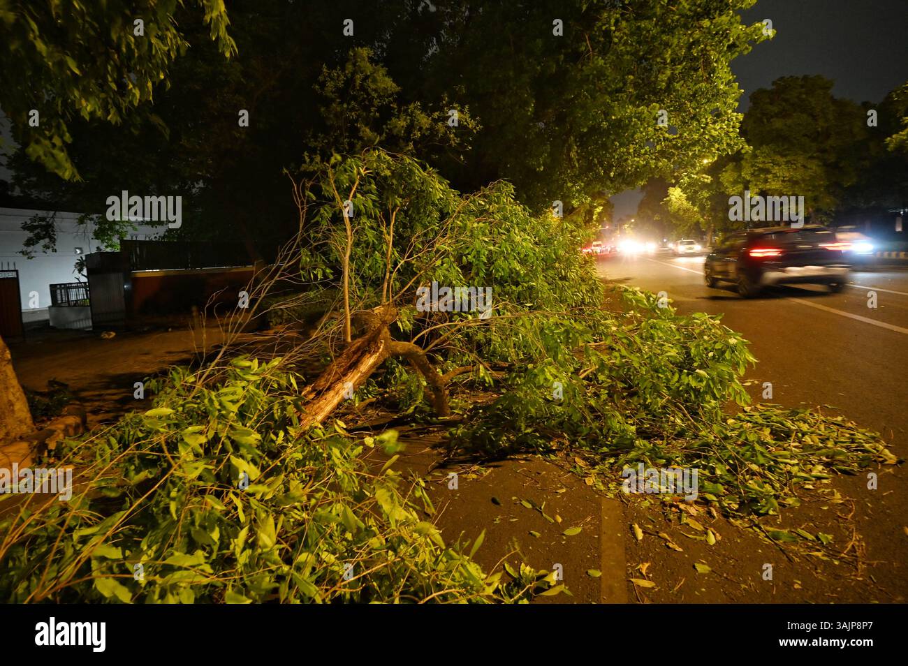 NEW DELHI, INDIA - APRIL 11: A fell down over the cars after severe ...