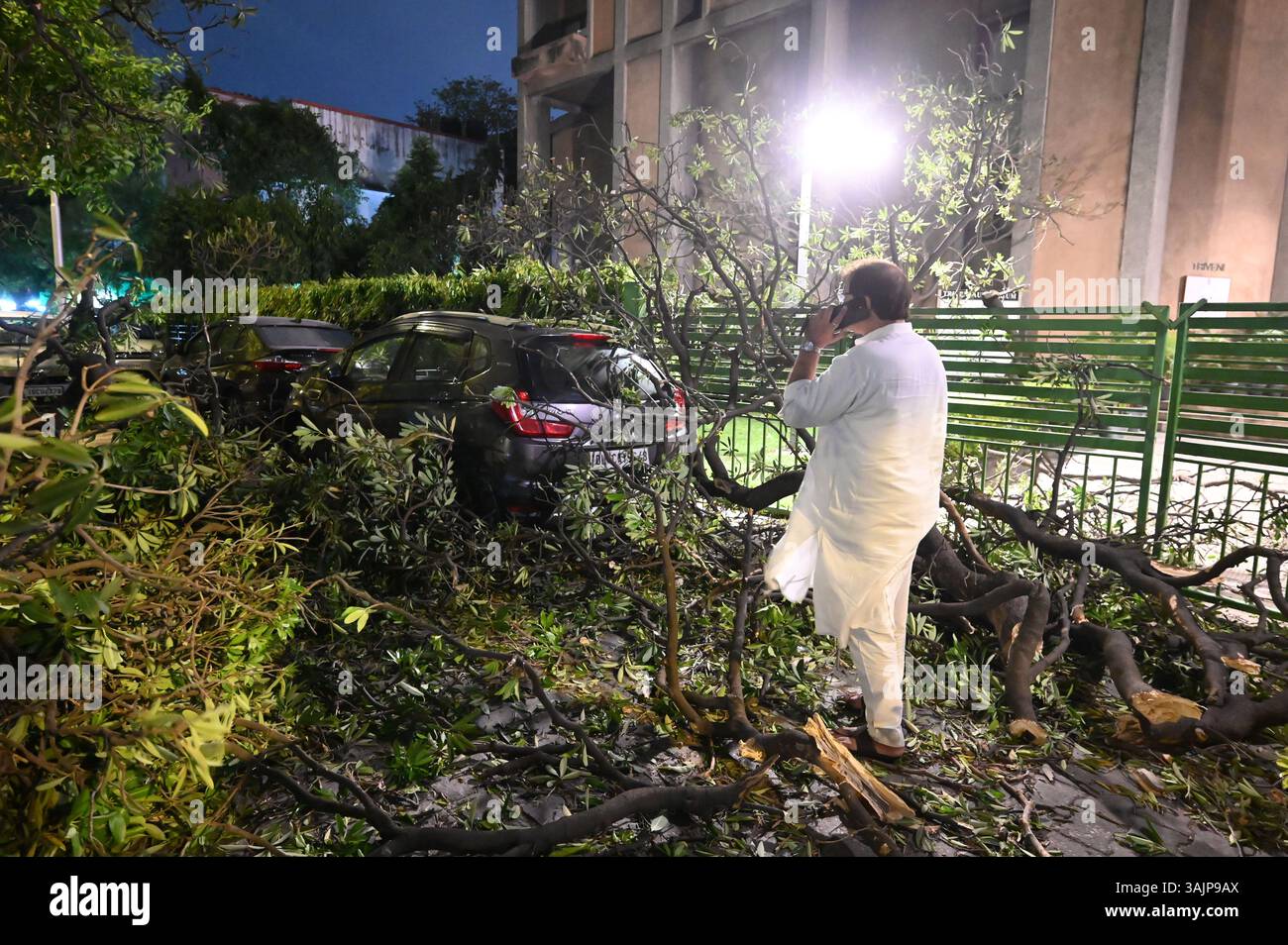 NEW DELHI, INDIA - APRIL 11: A tree fell down after a heavy dust storm ...