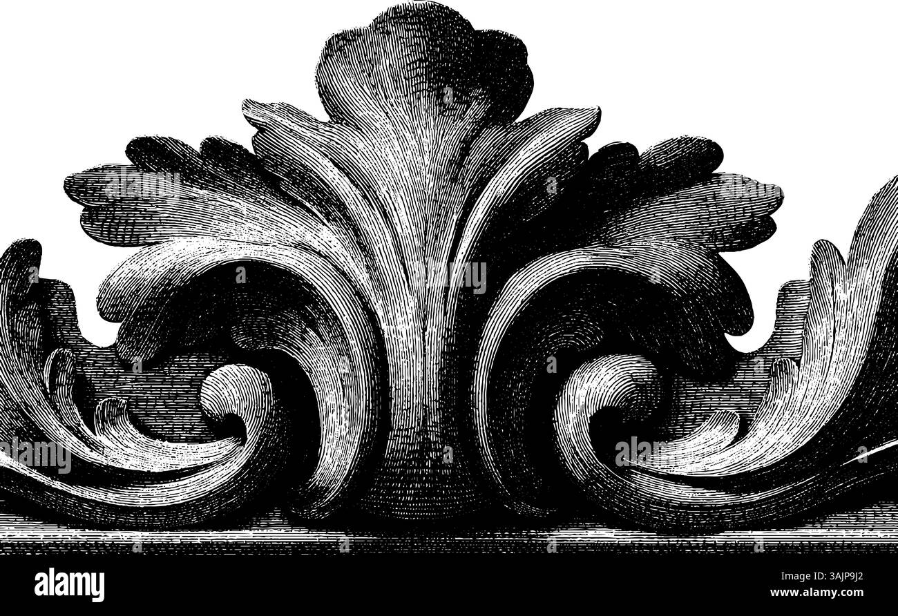 Ornate vintage acanthus leaf engraving design in black and white Stock ...