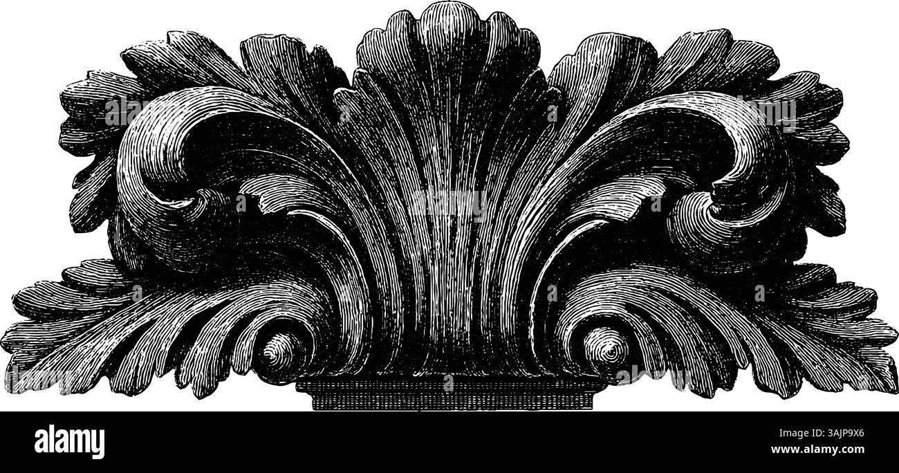 Intricate black and white vintage acanthus leaf motif with ornate ...