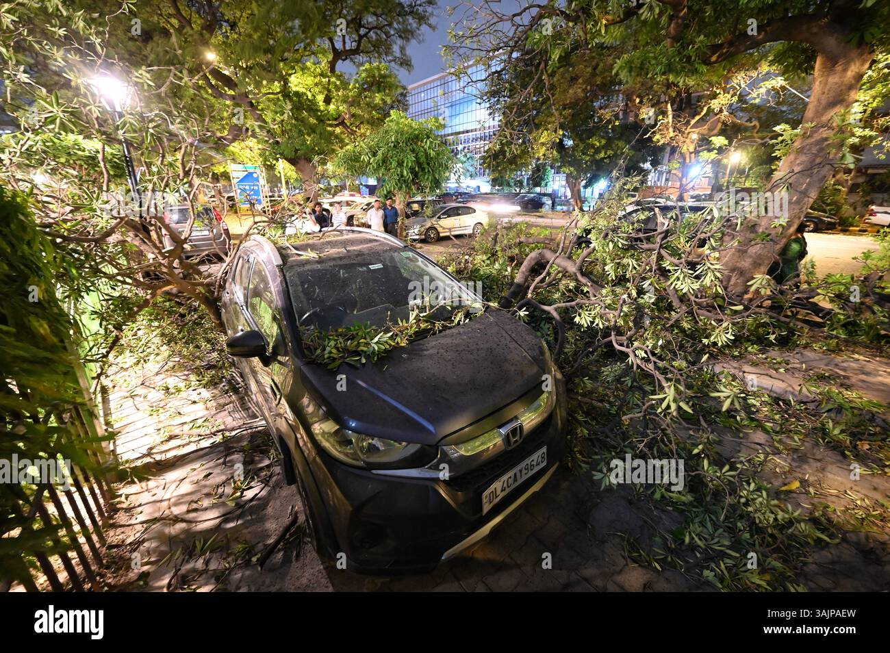 NEW DELHI, INDIA - APRIL 11: A fell down over the cars after severe ...