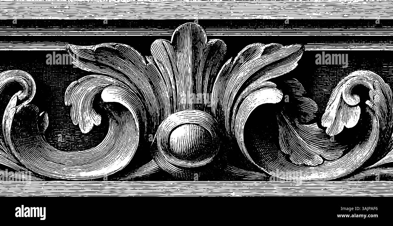 Vintage ornate acanthus leaf design in black and white engraving style ...