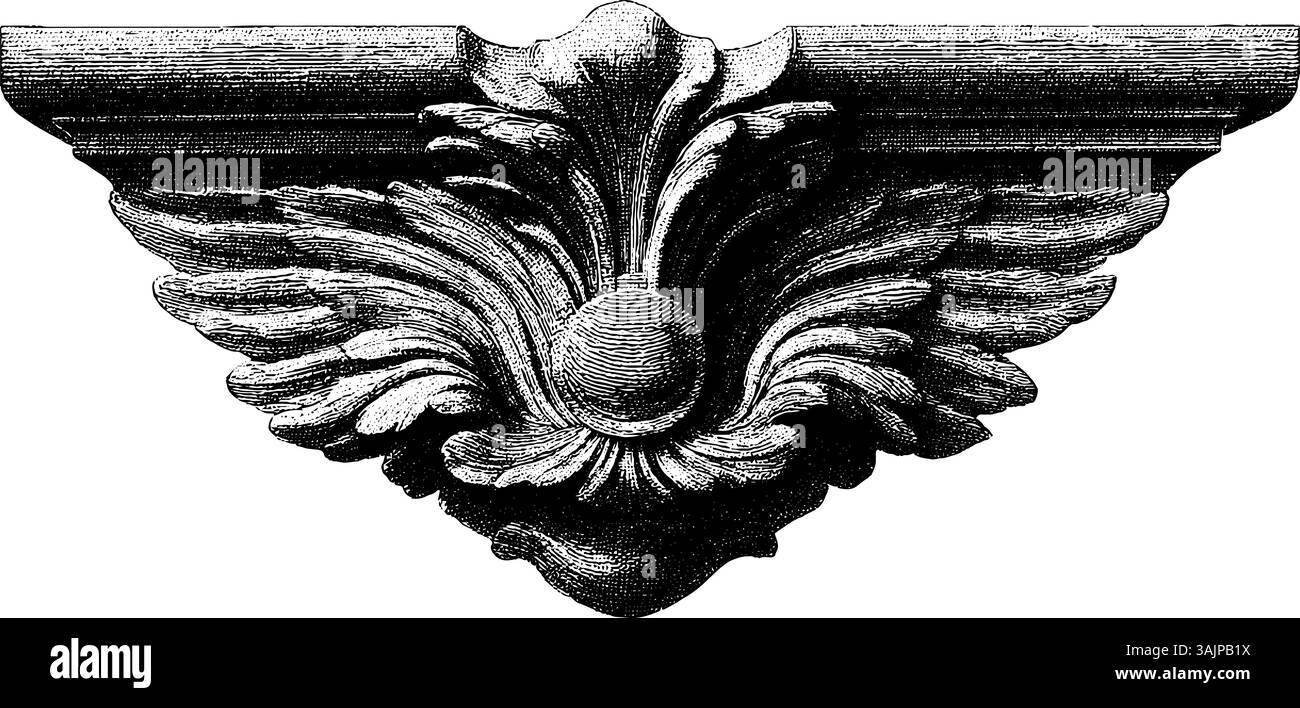 Vintage ornamental acanthus leaf design with intricate details Stock ...