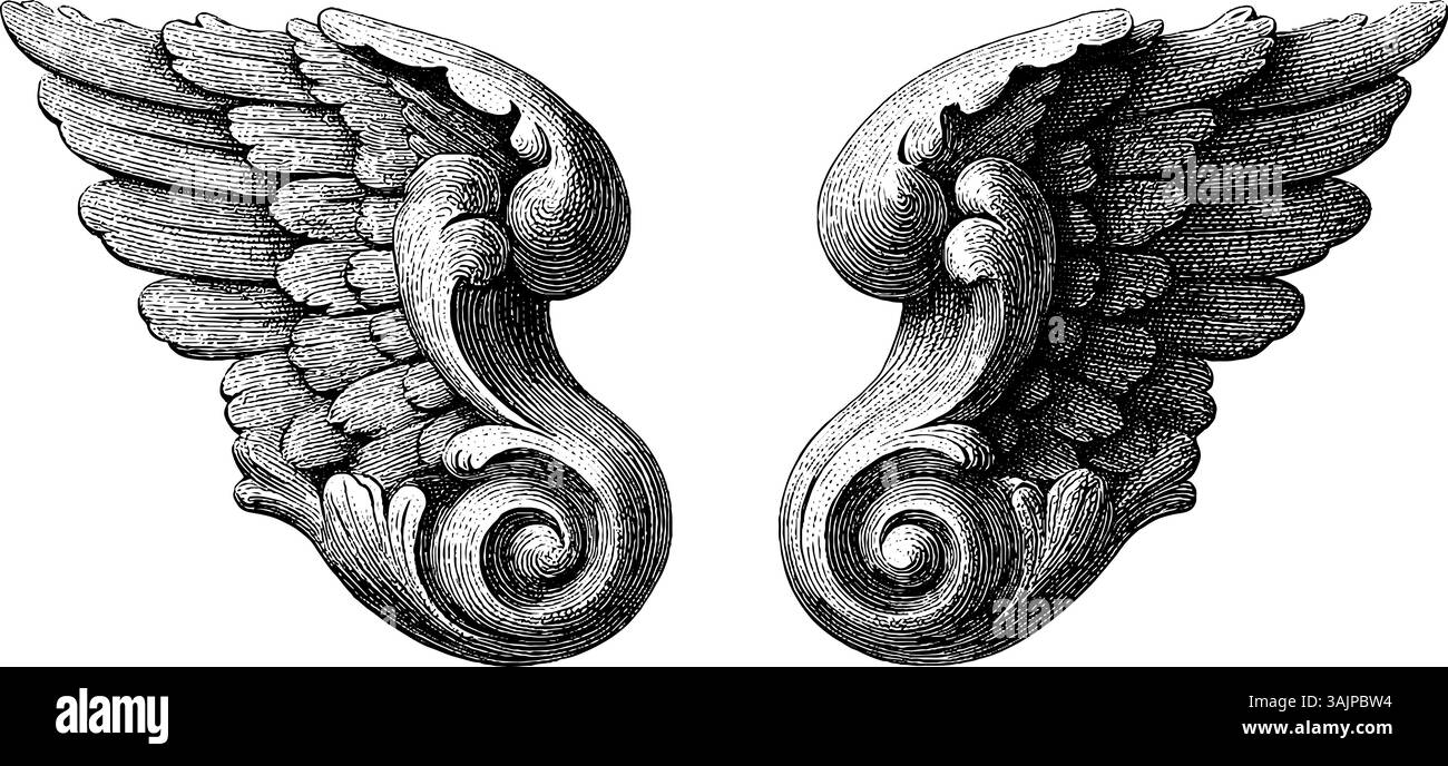 Intricately detailed antique wing design in black and white Stock ...