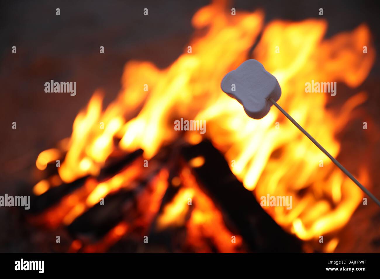 Roasting marshmallow over burning firewood on beach, closeup Stock ...