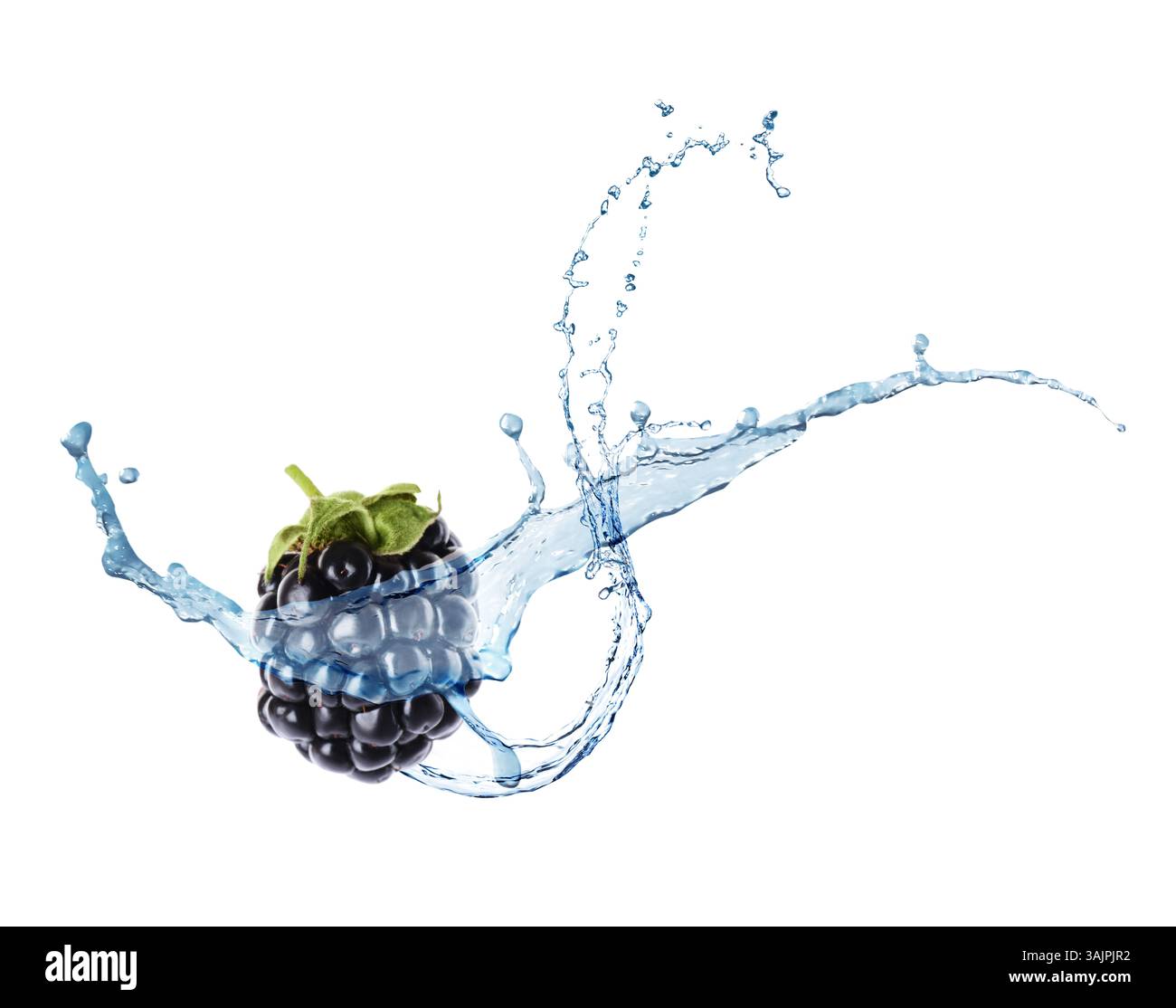 Fresh blackberry and splash of water on white background Stock Photo ...