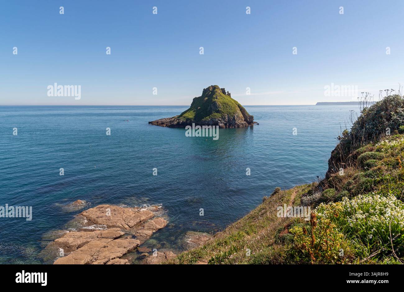 Thatcher Rock, off the coast of Torquay in Devon Stock Photo - Alamy