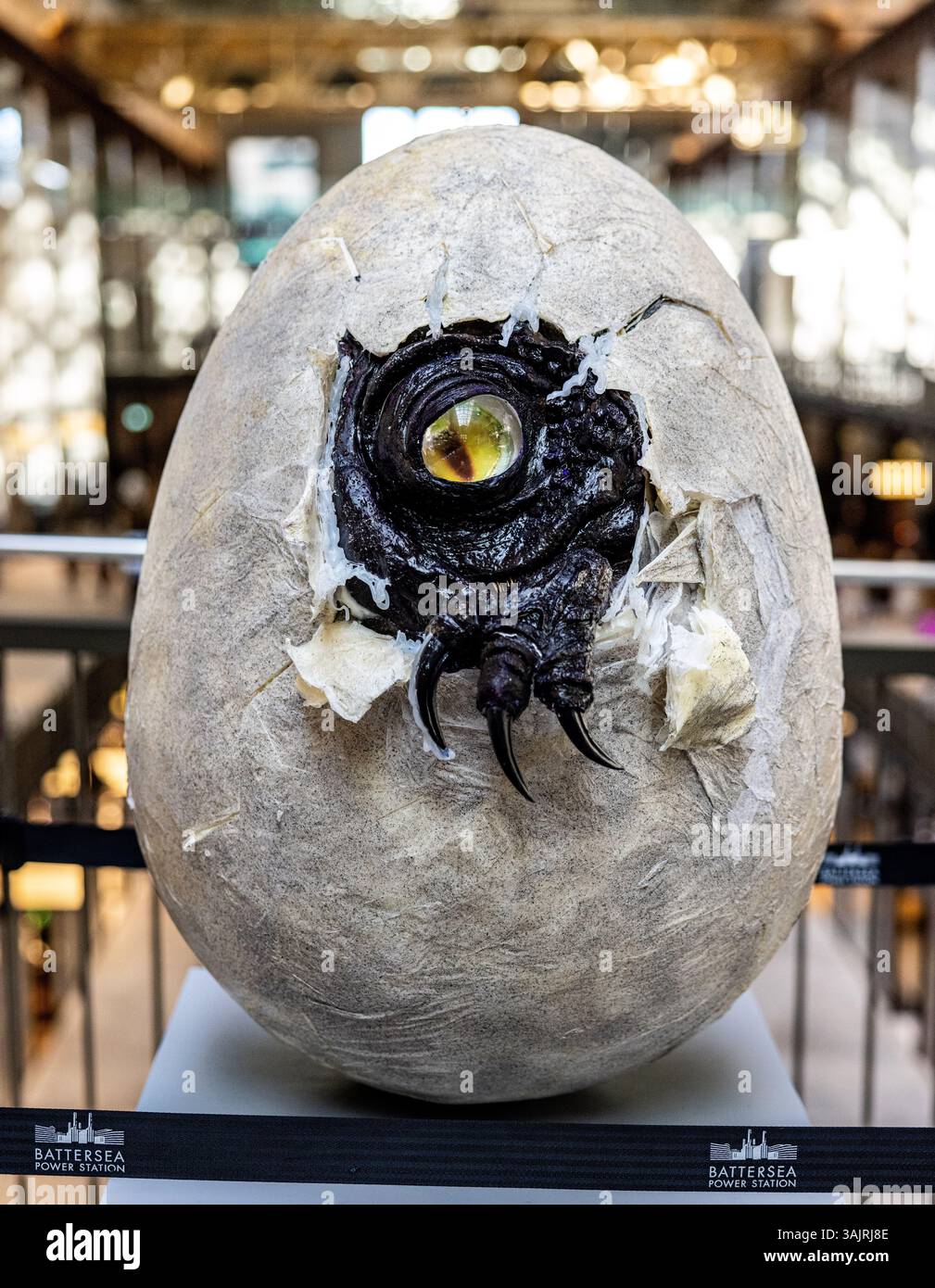 Easter egg hunt 2025 hi-res stock photography and images - Alamy