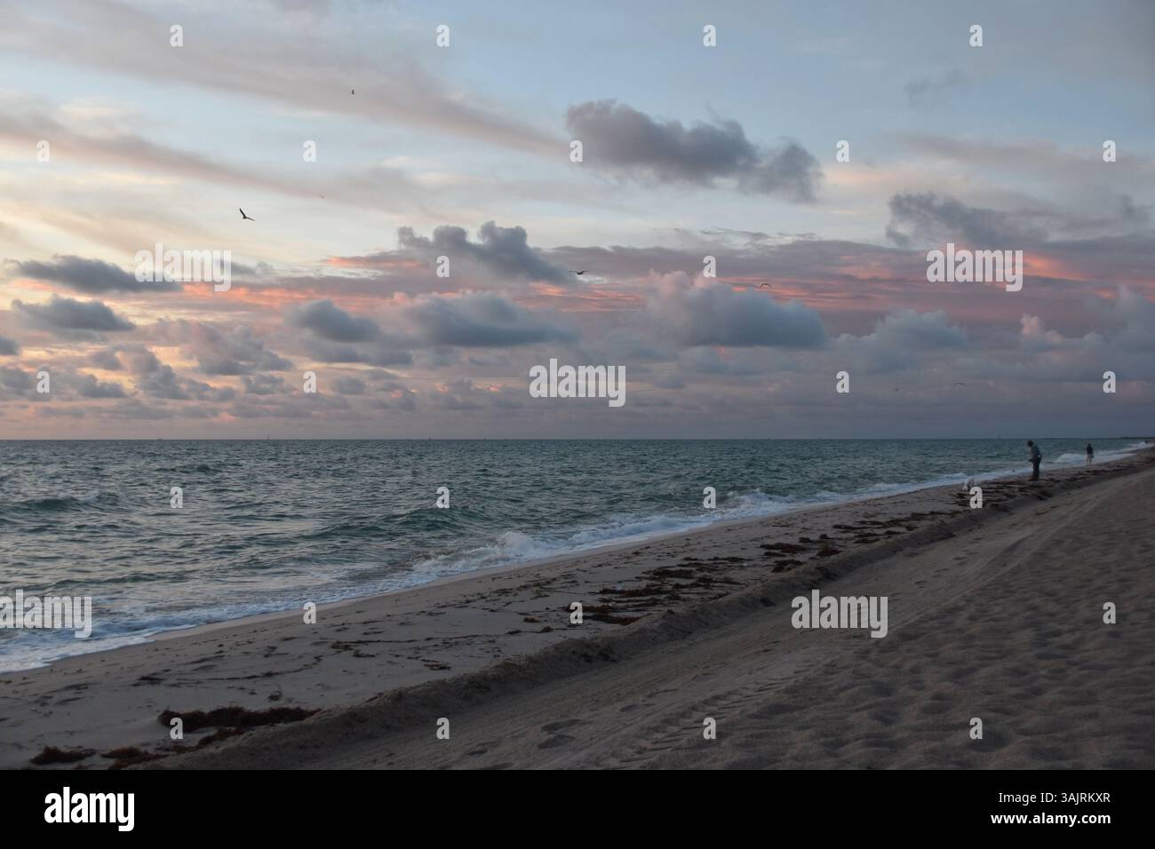 Daybreak at the beach Stock Photo - Alamy