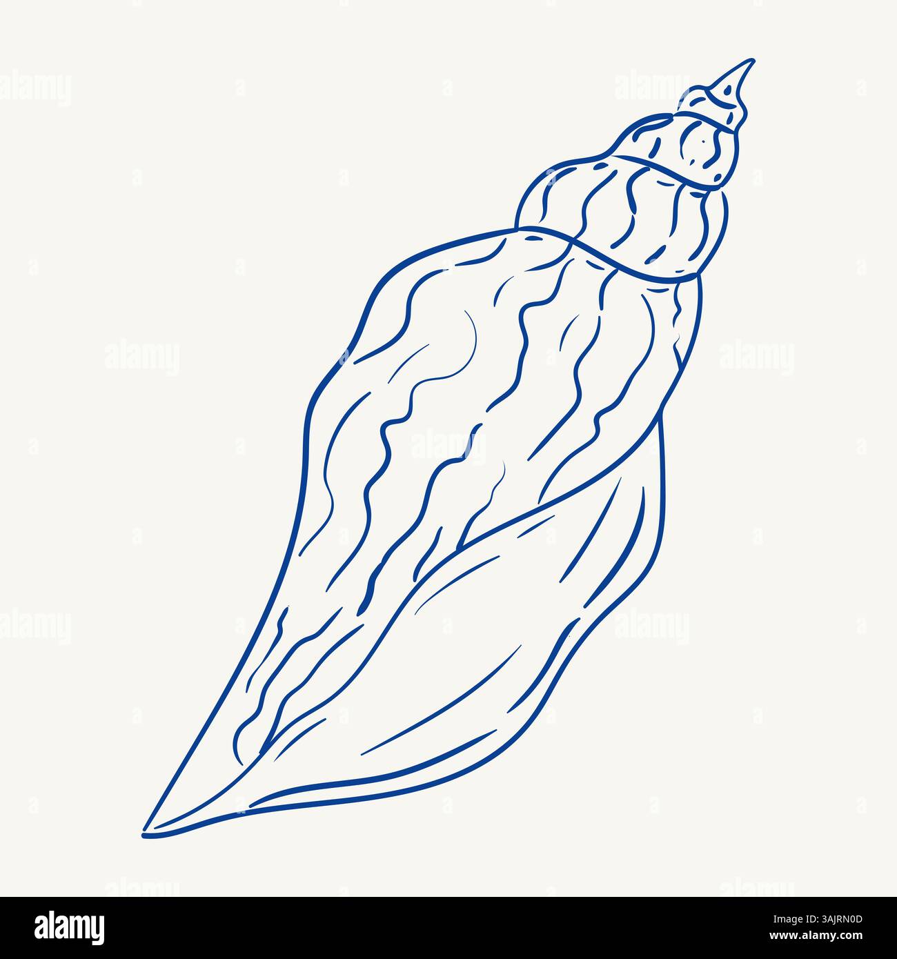 Detailed outline of a sea shell showcasing intricate patterns and ...