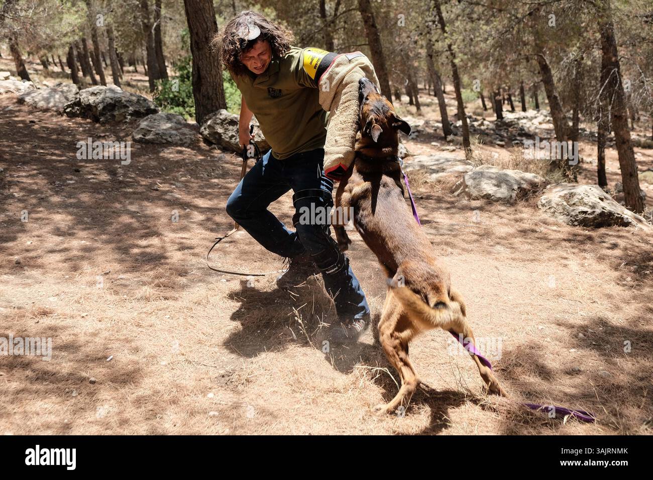 July 23, 2017 - Efrat, West Bank, Israel - The Israel Dog Unit, IDU, a ...