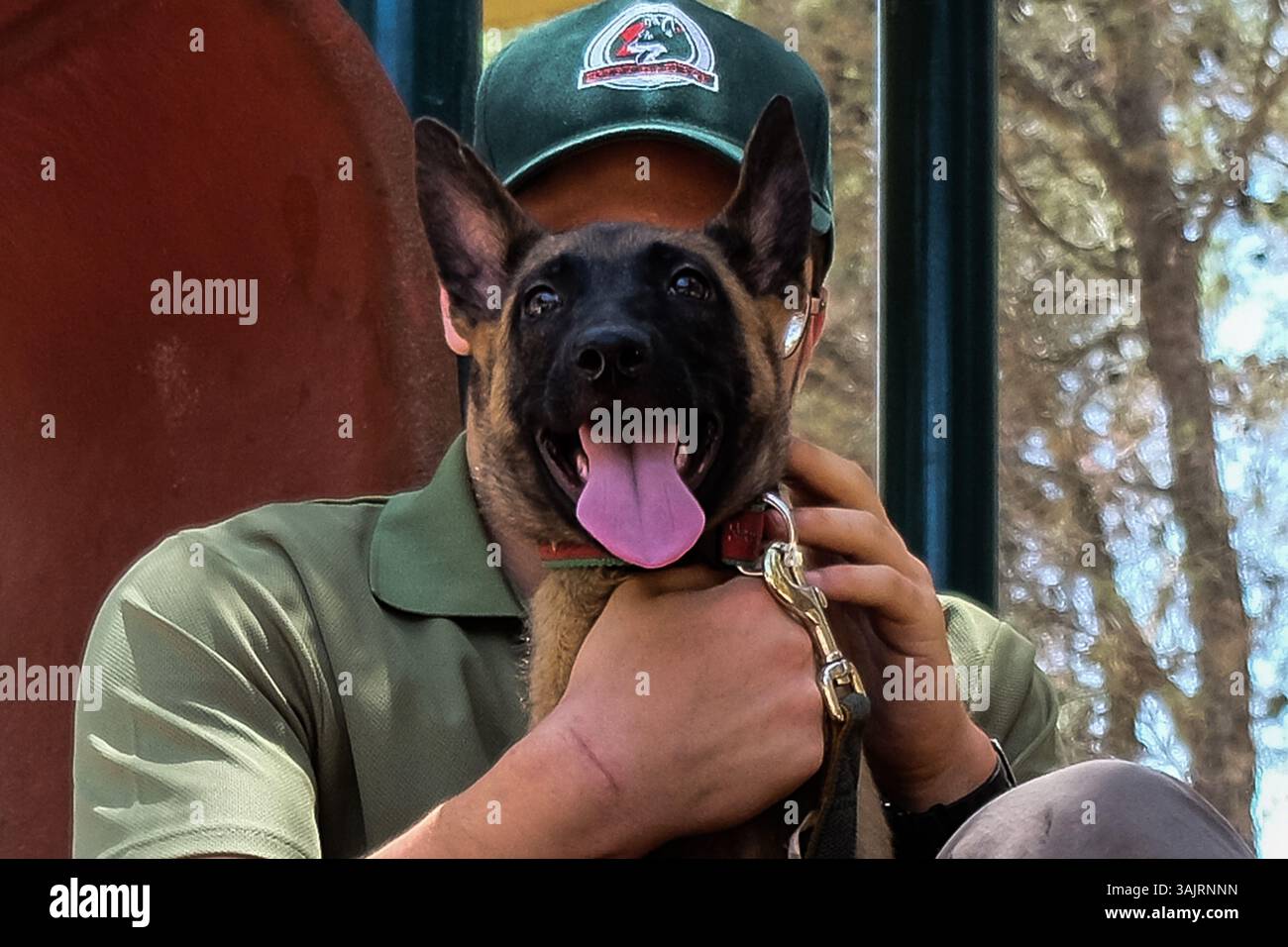 July 23, 2017 - Efrat, West Bank, Israel - A handler from the Israel ...