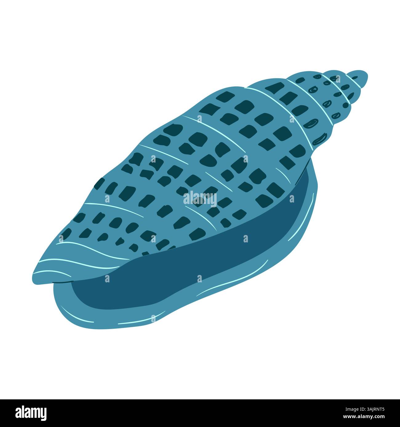 Colorful sea shell on a sandy beach in summer at sunrise or sunset ...