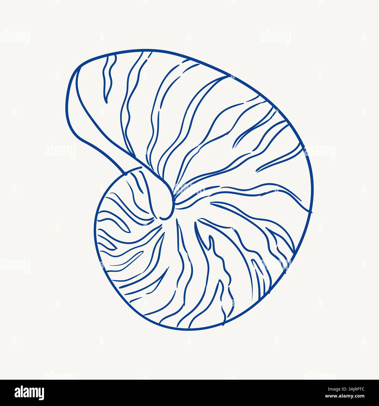 Detailed illustration of a nautilus shell highlighting unique patterns ...