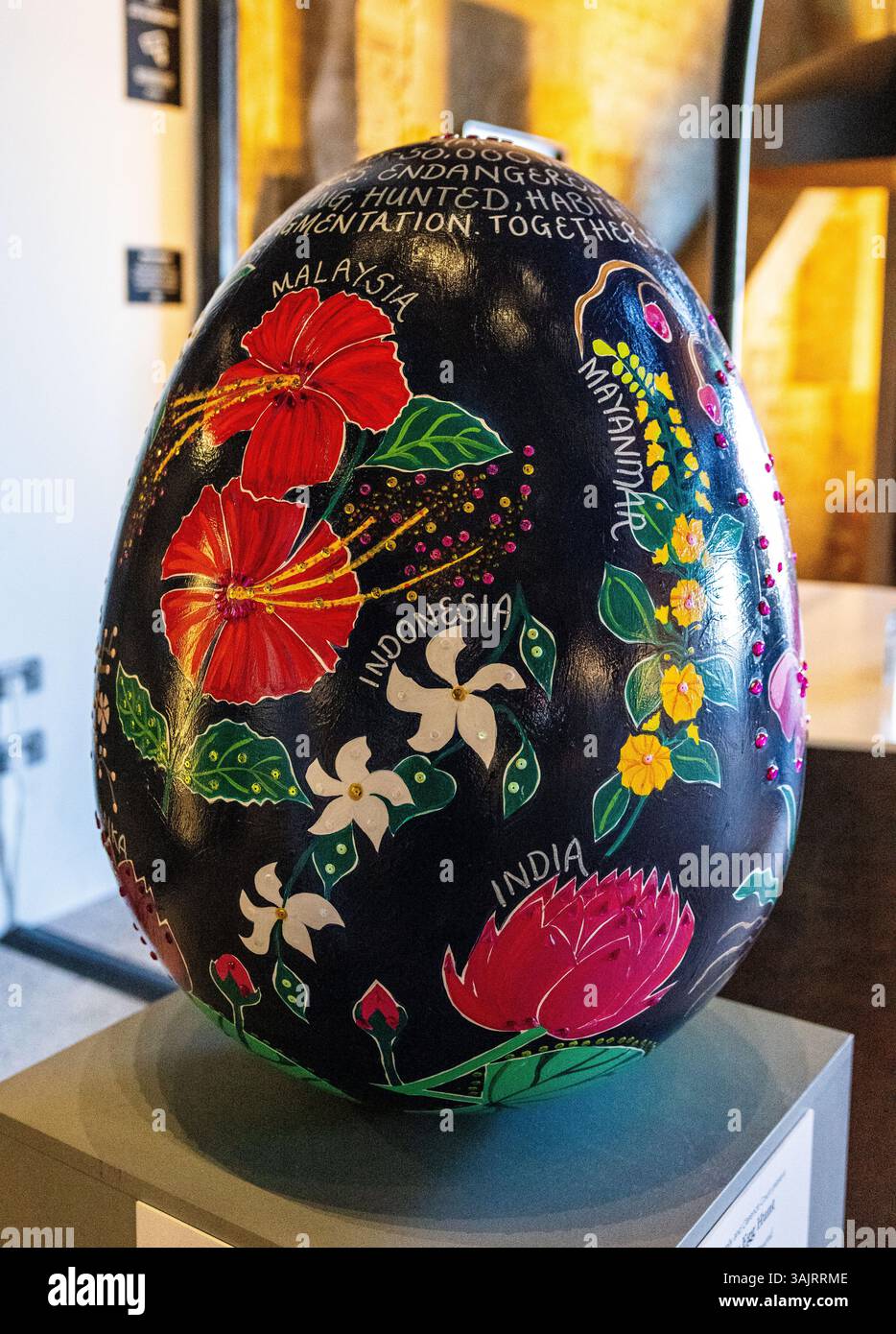 Big Egg Hunt 2025 Stock Photo - Alamy