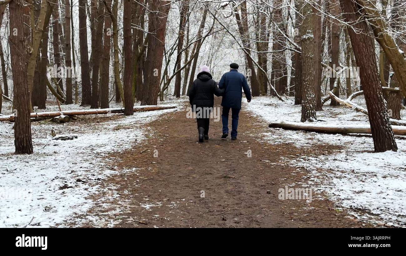 Mature couple going on snowy path at winter pine forest. Senior husband ...