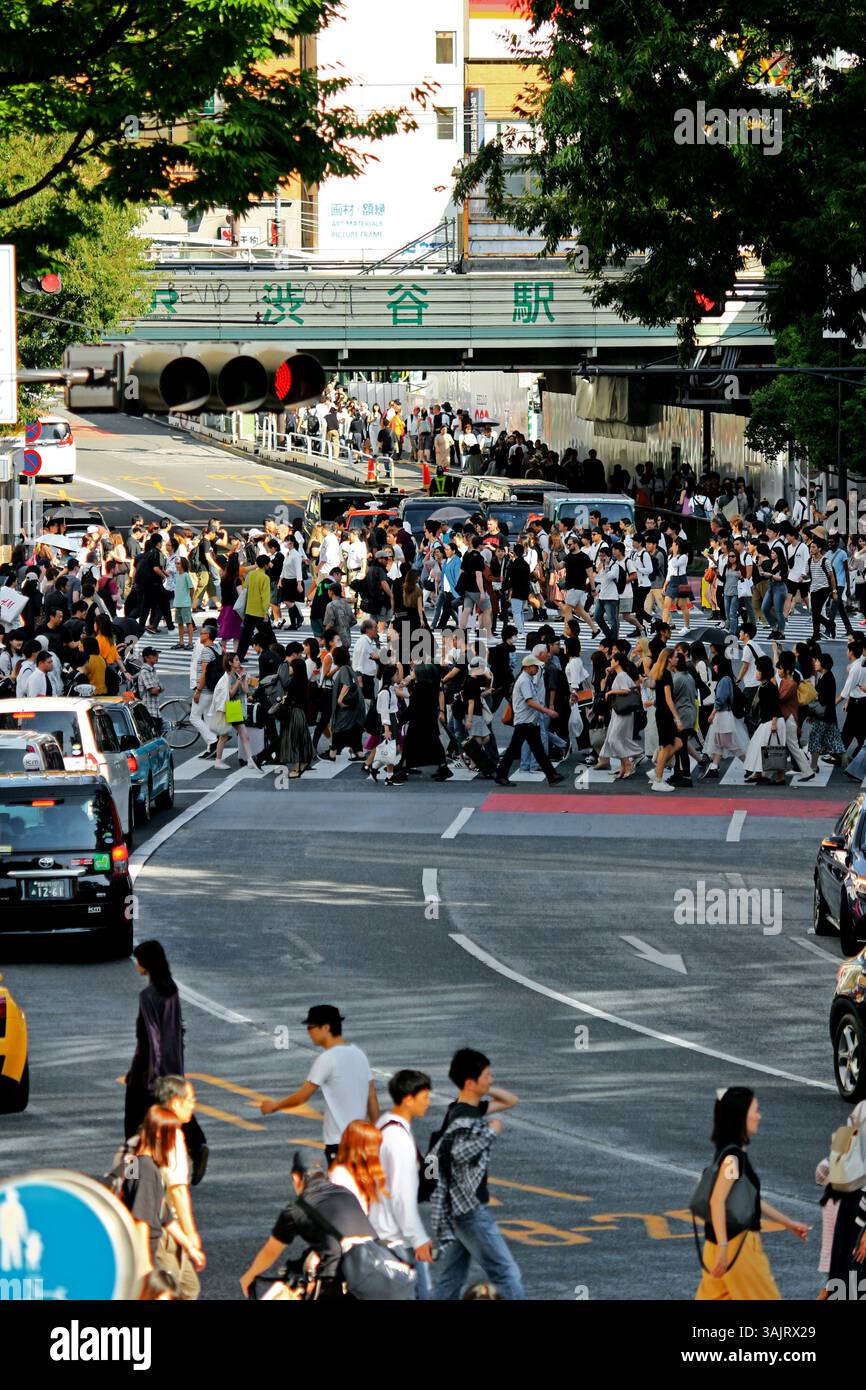 Daily life in Japan A holiday scene at Shibuya Scramble Crossing with ...