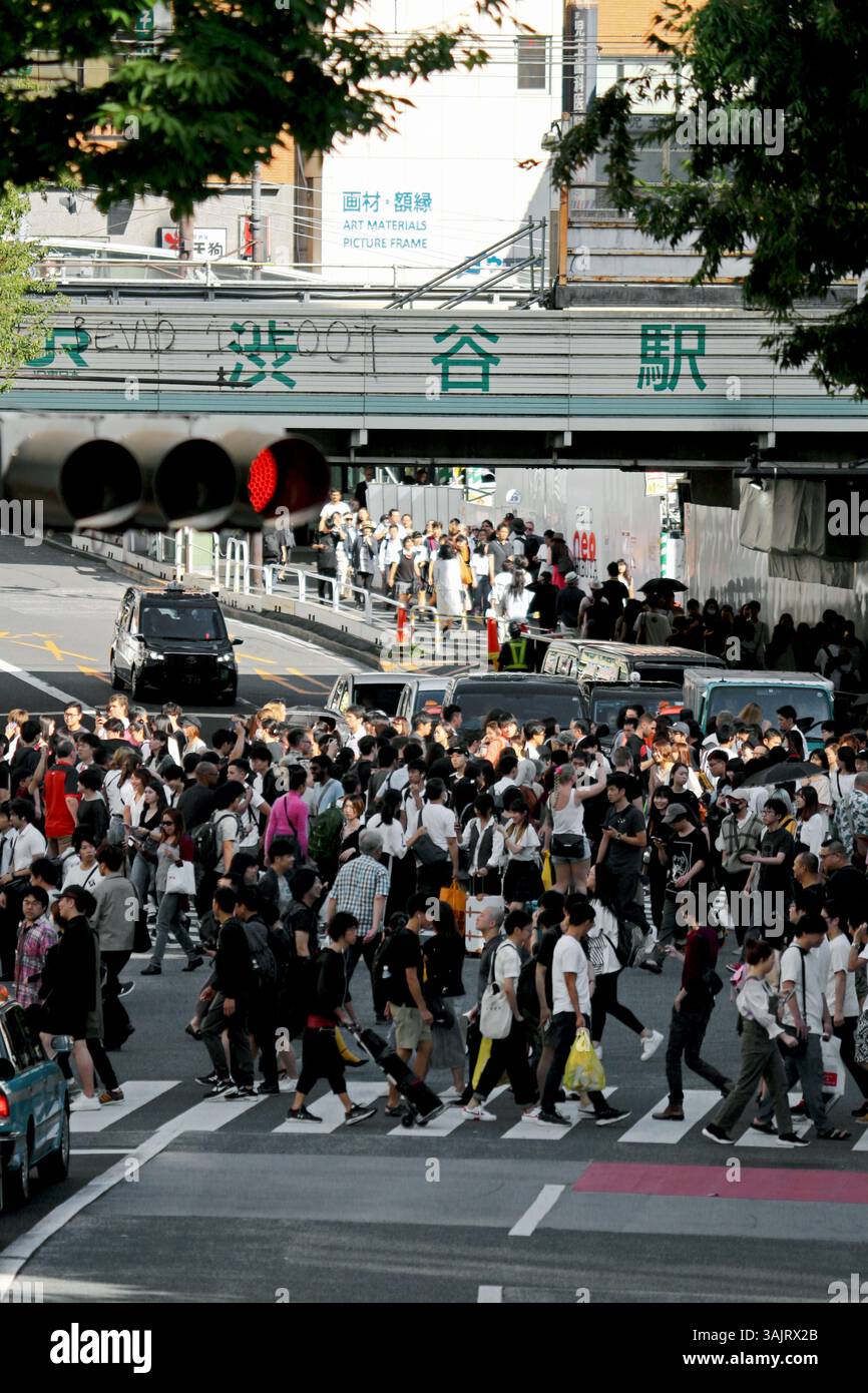 Daily life in Japan A holiday scene at Shibuya Scramble Crossing with ...