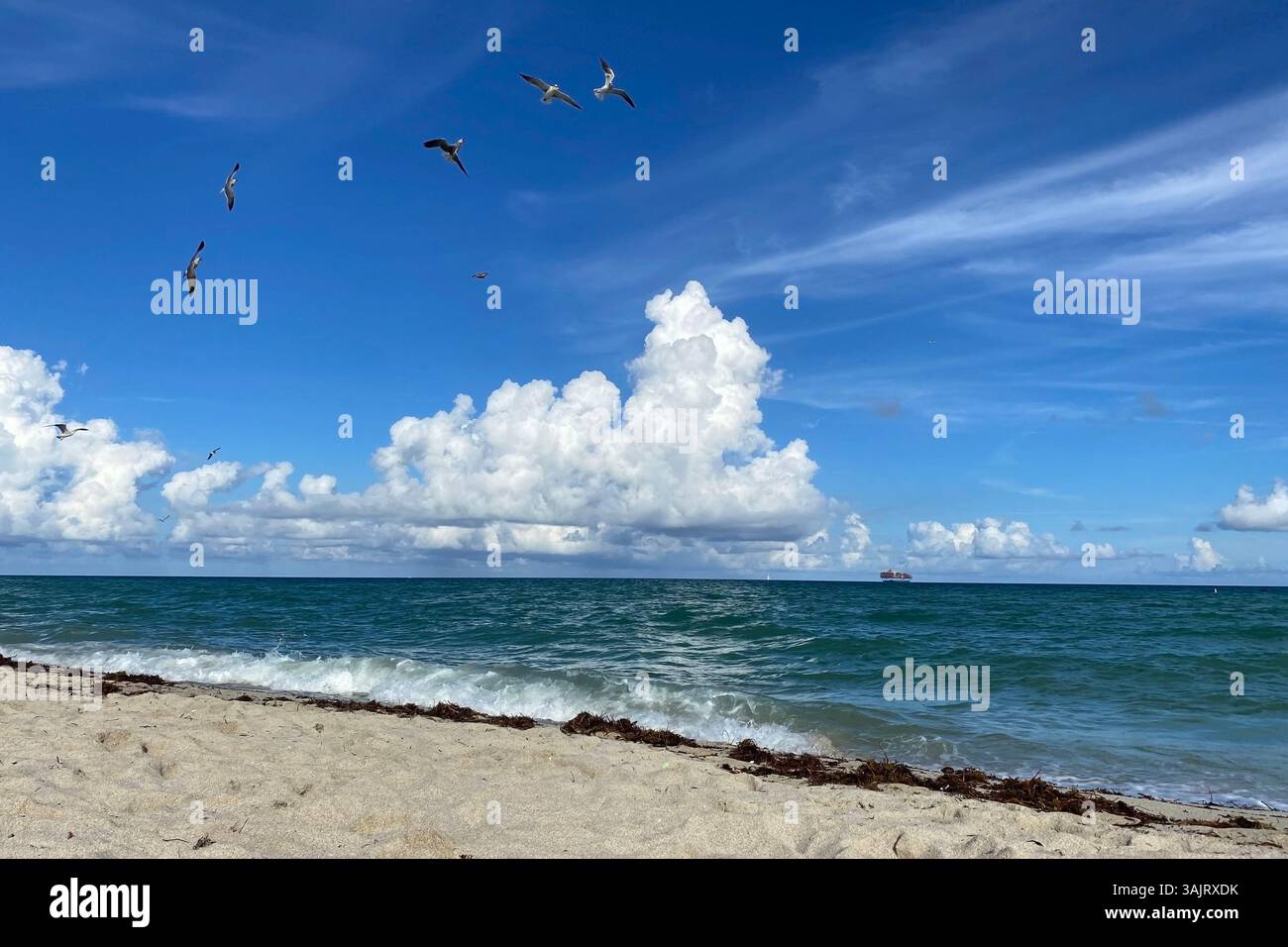 Peaceful beach with soft white sand and calm sea waves under a bright ...