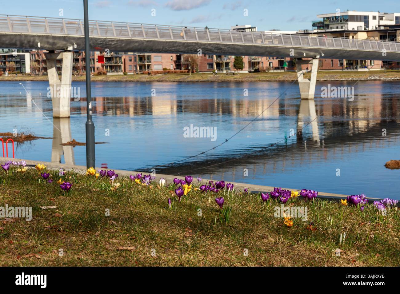 Spring Blossoms – Seasonal Floral Backgrounds. High-resolution images ...