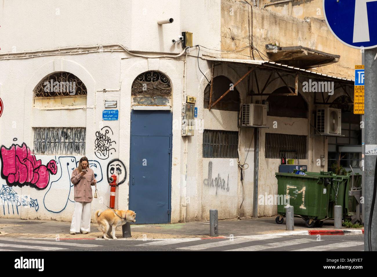 Tel Aviv-Jaffa, Israel, 9 April 2025, A woman walking her dog on a ...