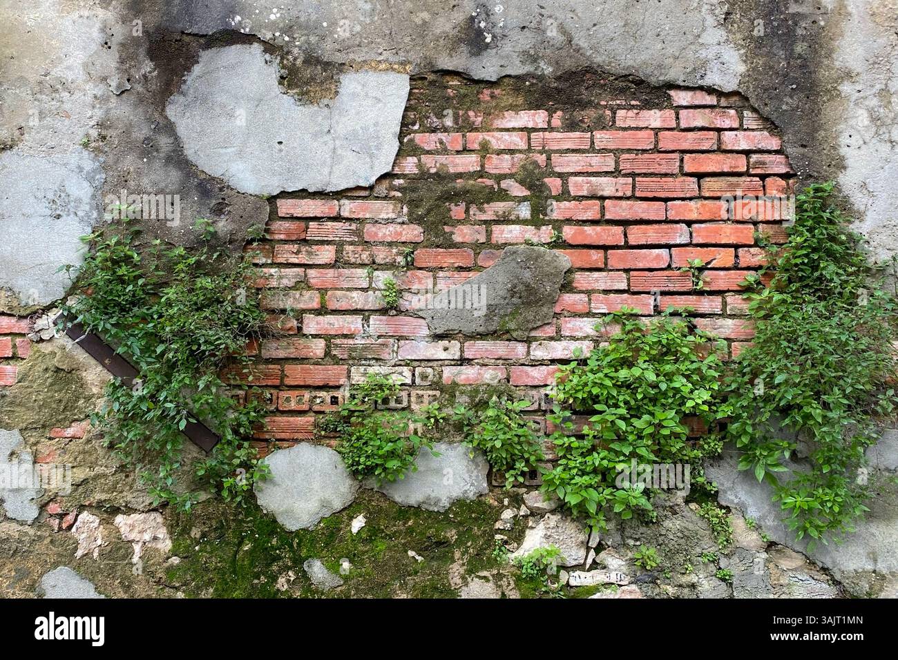 Closeup of rustic brick wall with chipped bricks, peeling surface, old ...