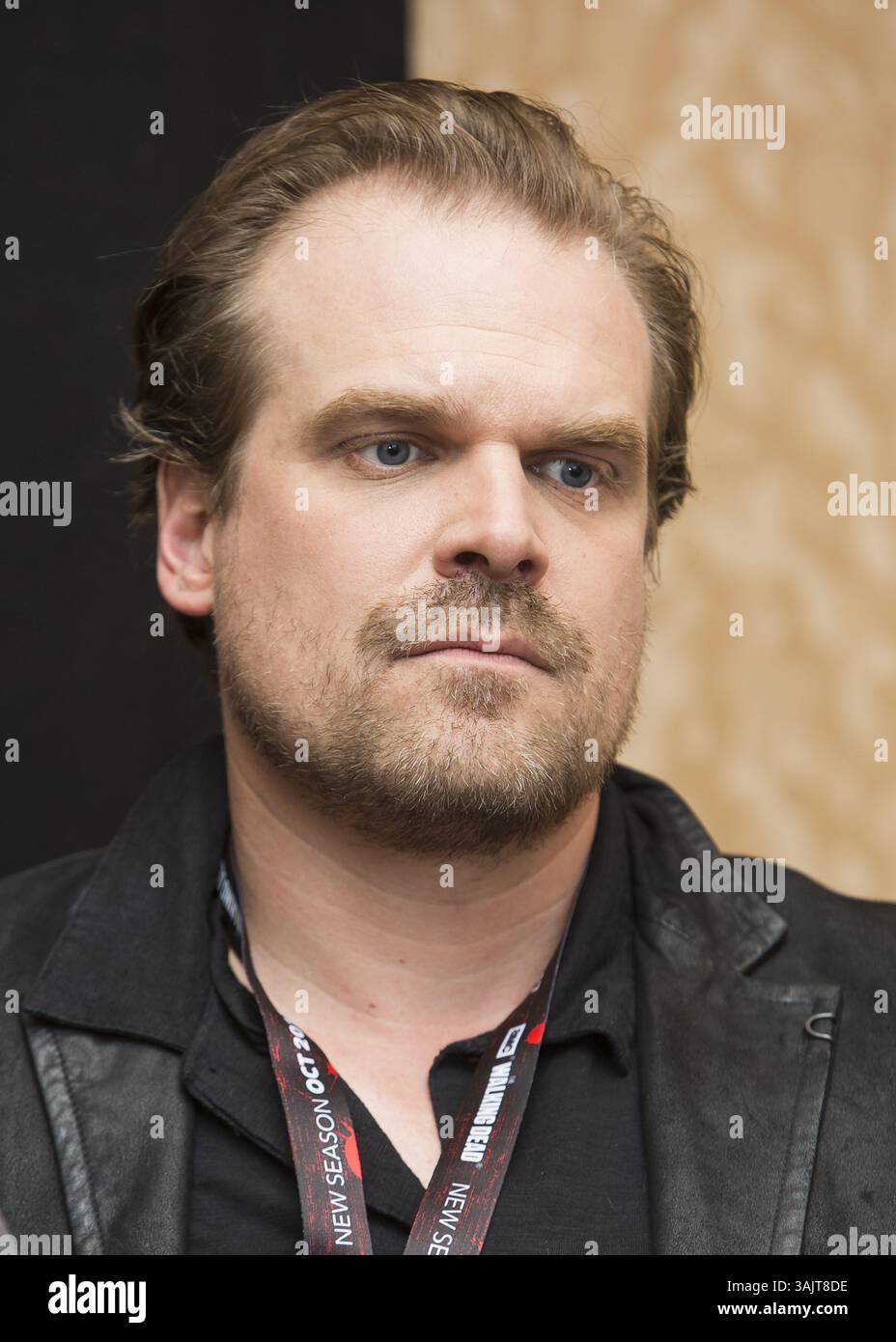 July 22, 2017 - San Diego, California, U.S. - American actor DAVID ...