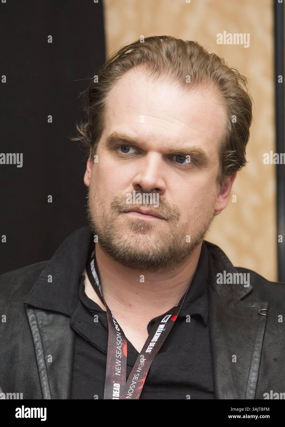 July 22, 2017 - San Diego, California, U.S. - American actor DAVID ...