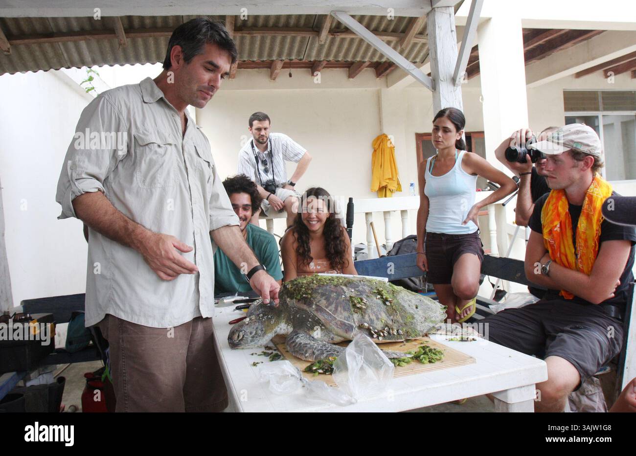 Para tortugas hi-res stock photography and images - Alamy