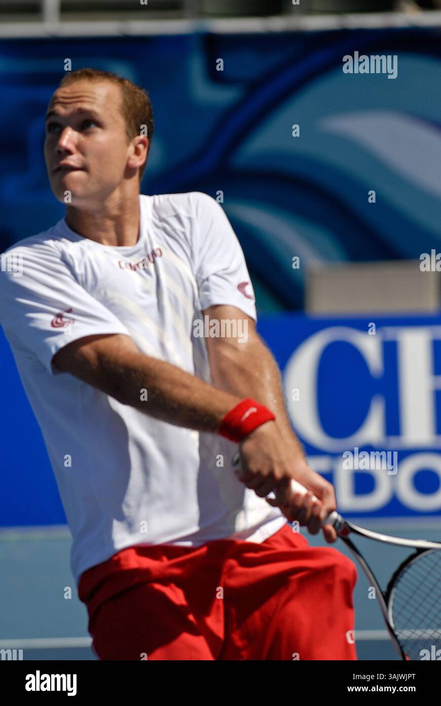 Butorac hi-res stock photography and images - Alamy