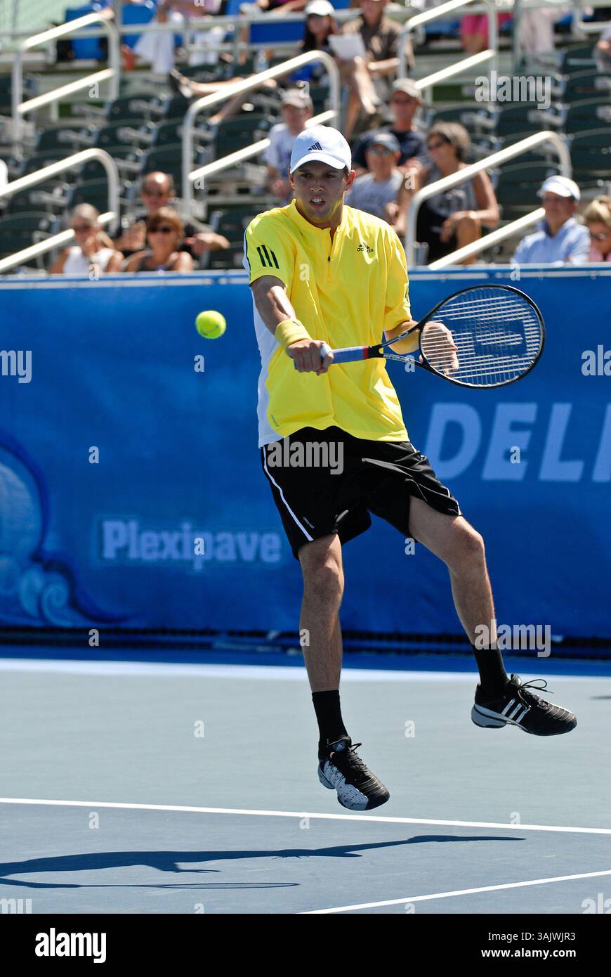 Butorac hi-res stock photography and images - Alamy