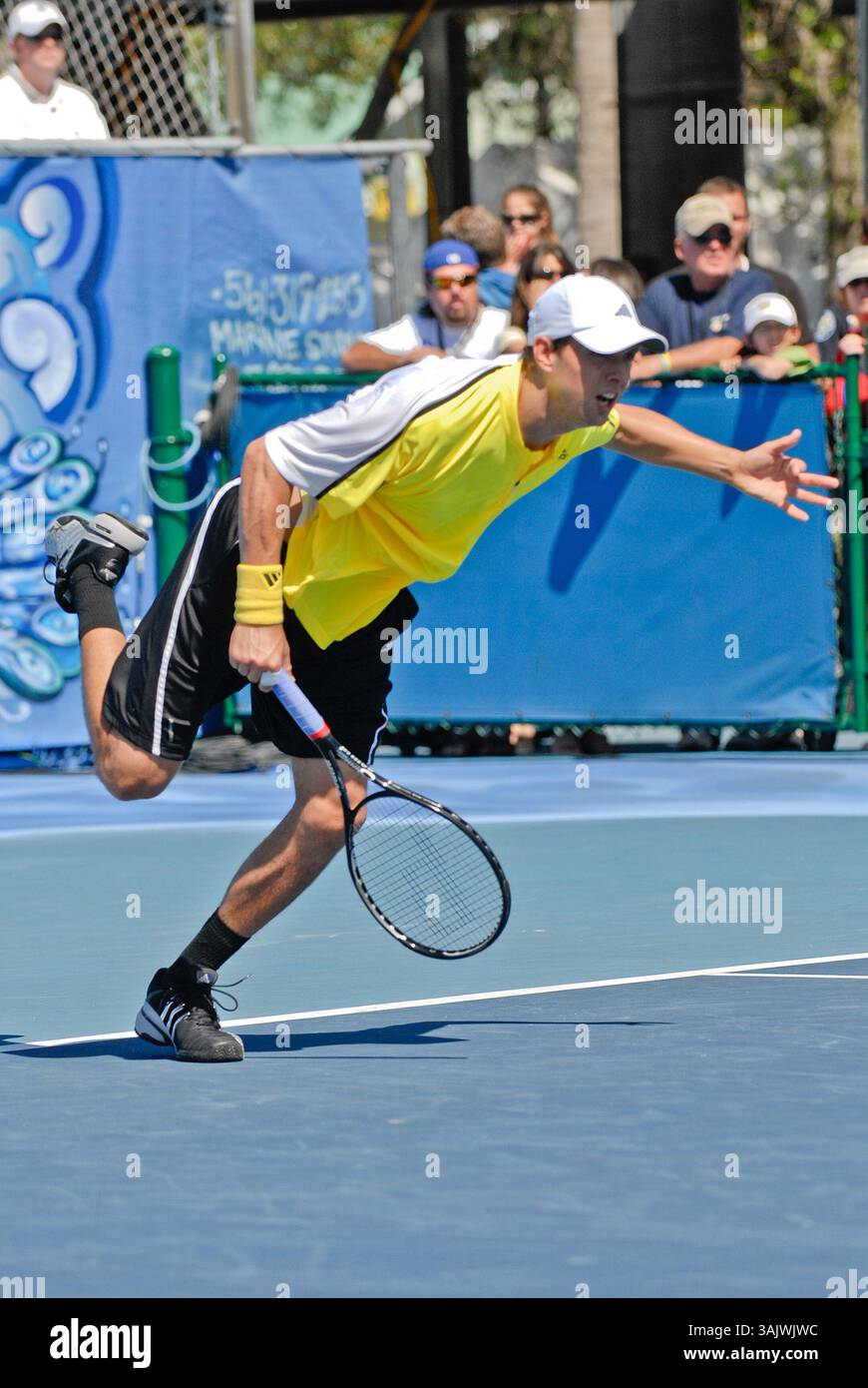 Butorac hi-res stock photography and images - Alamy