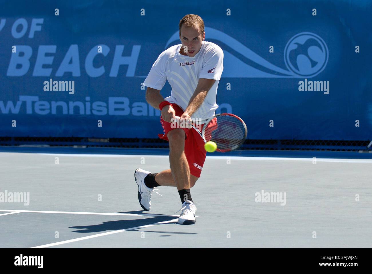 Butorac hi-res stock photography and images - Alamy
