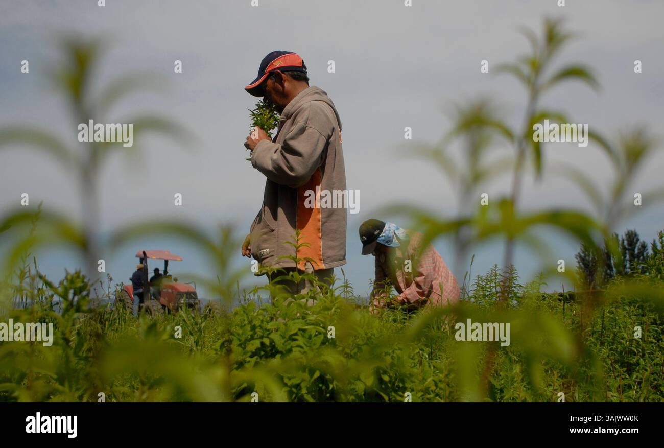 Balm boxes hi-res stock photography and images - Alamy