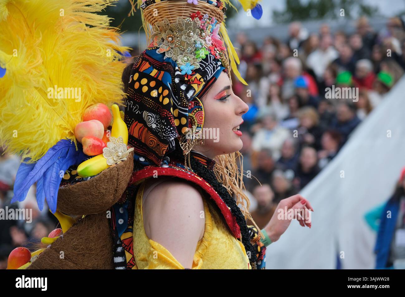 Traditional annual Estarreja samba carnival in Portugal. Costume music ...
