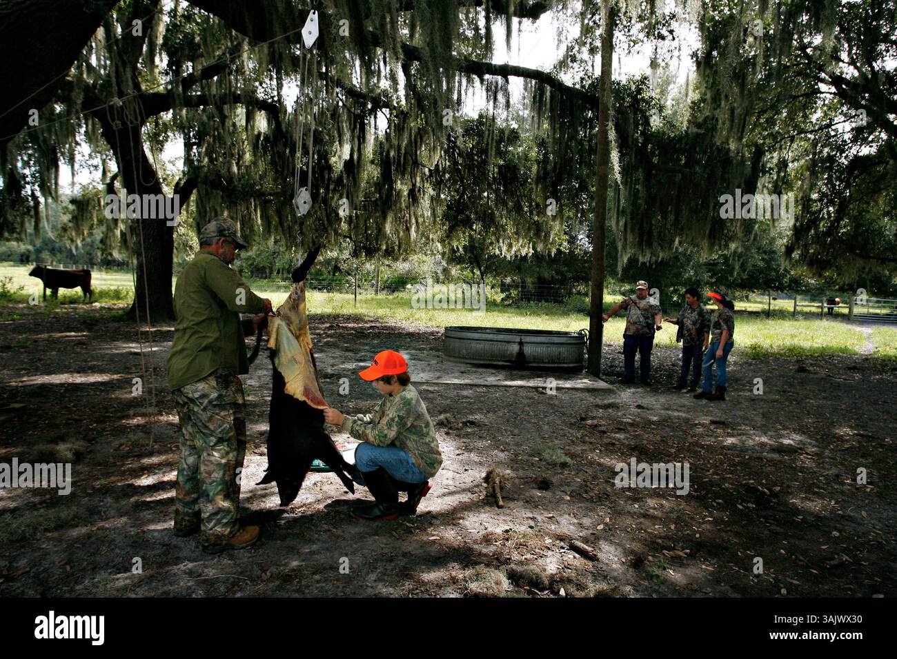 DANIEL WALLACE | Times.TP 313428 WALL hoghunt 1 (10/16/2009 Tampa ...
