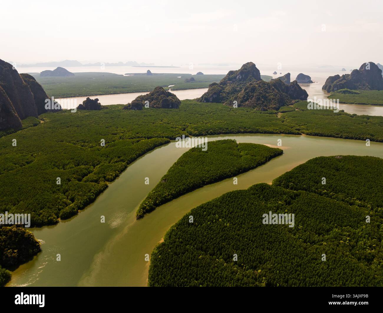 Amazing abundant mangrove forest,Aerial view of forest trees Rainforest ...