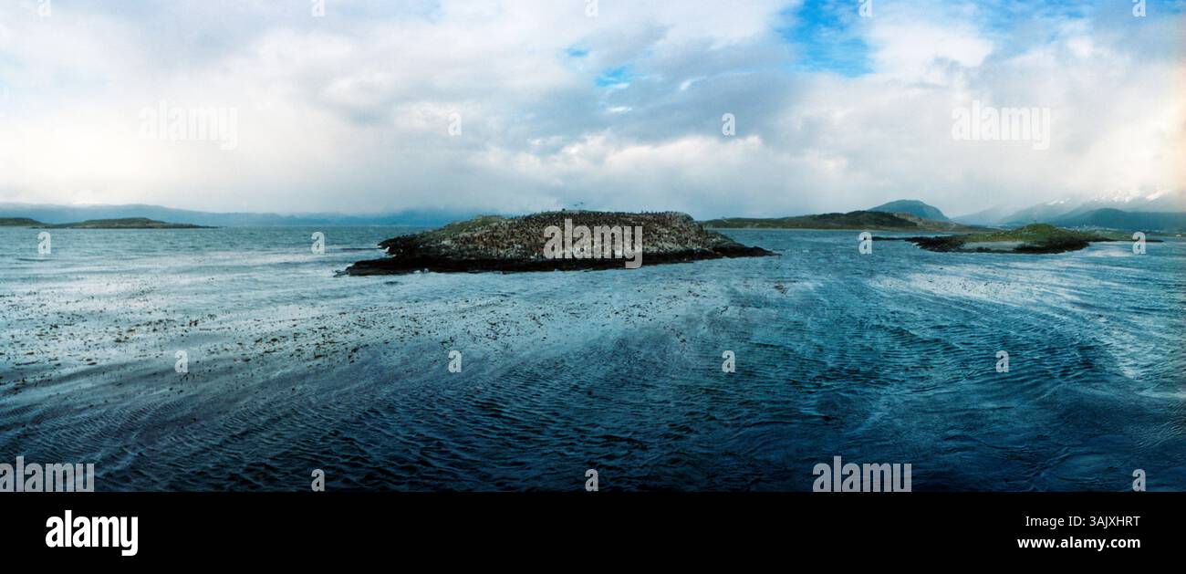 Island of arctic birds in sea, Beagle Channel, Ushuaia, Tierra del ...