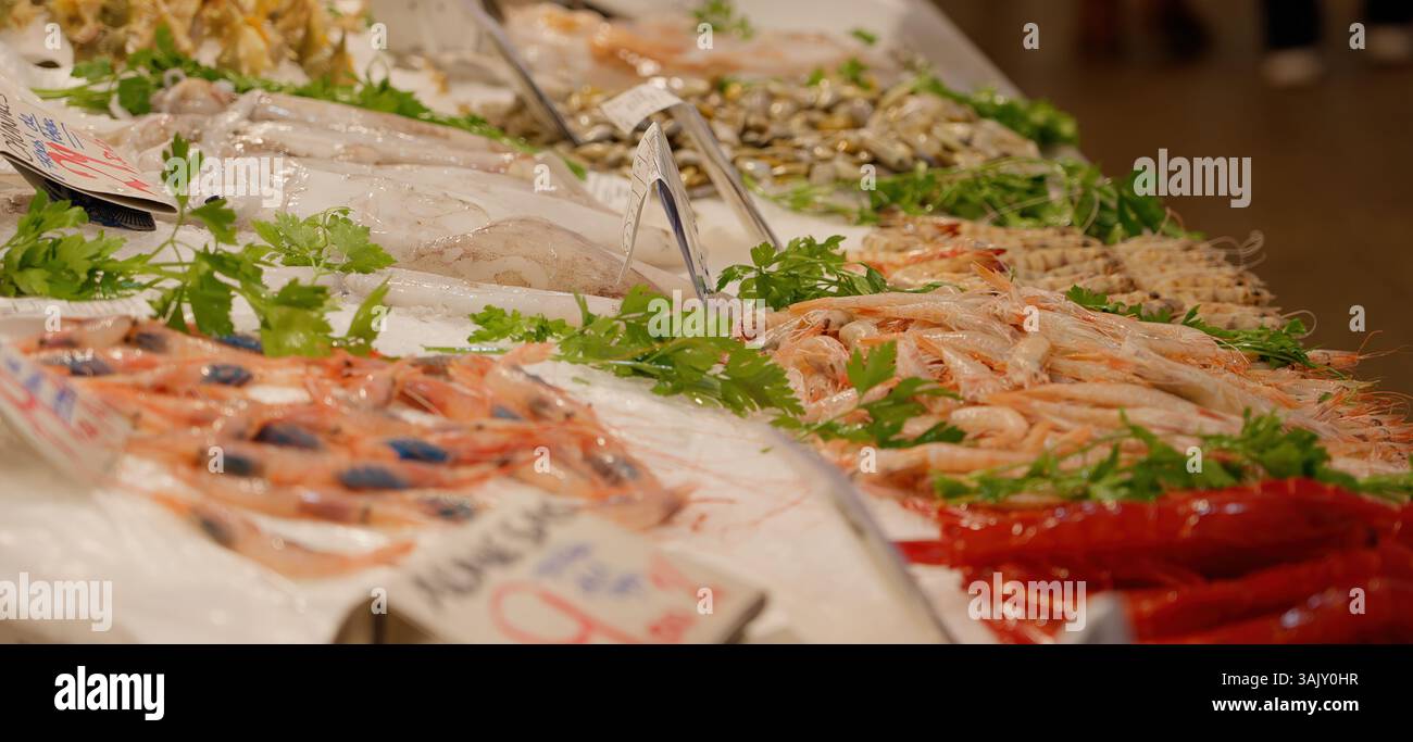 Various shrimp types including hi-res stock photography and images - Alamy