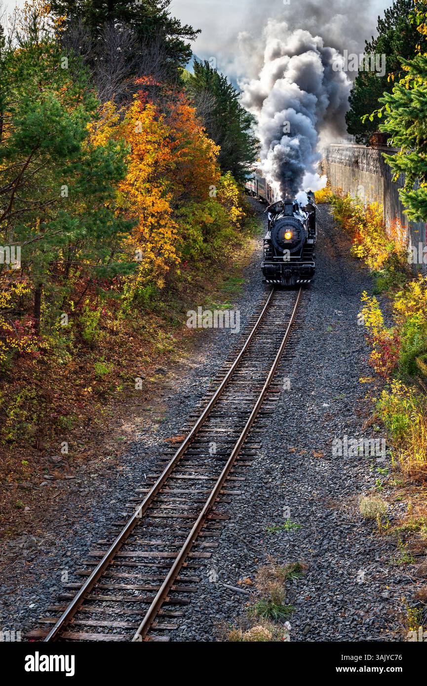 Steam Locomotive Traveling on Railroad Surrounded by Autumn Foliage ...
