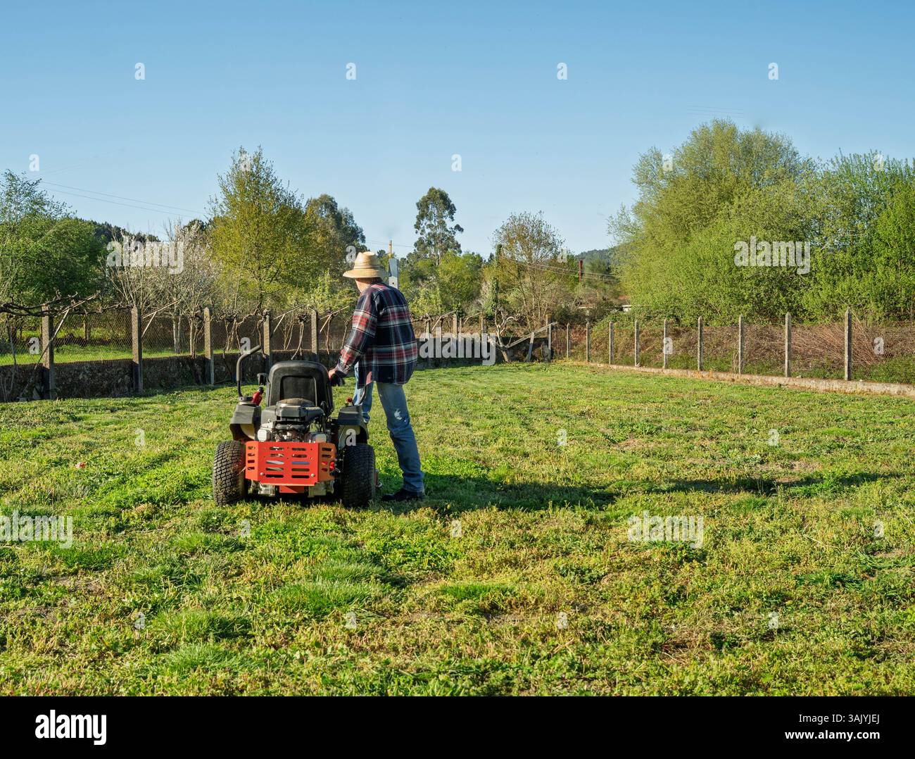 Man on riding lawn mower Stock Photo - Alamy