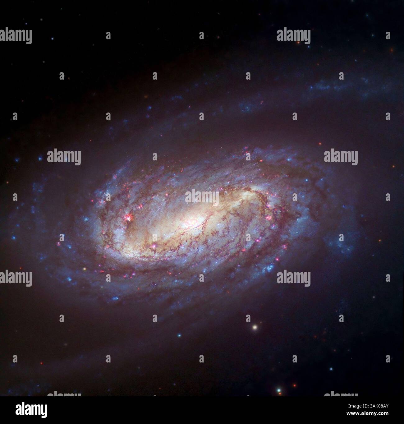Barred spiral galaxy NGC 2903, composite image. This galaxy lies around ...