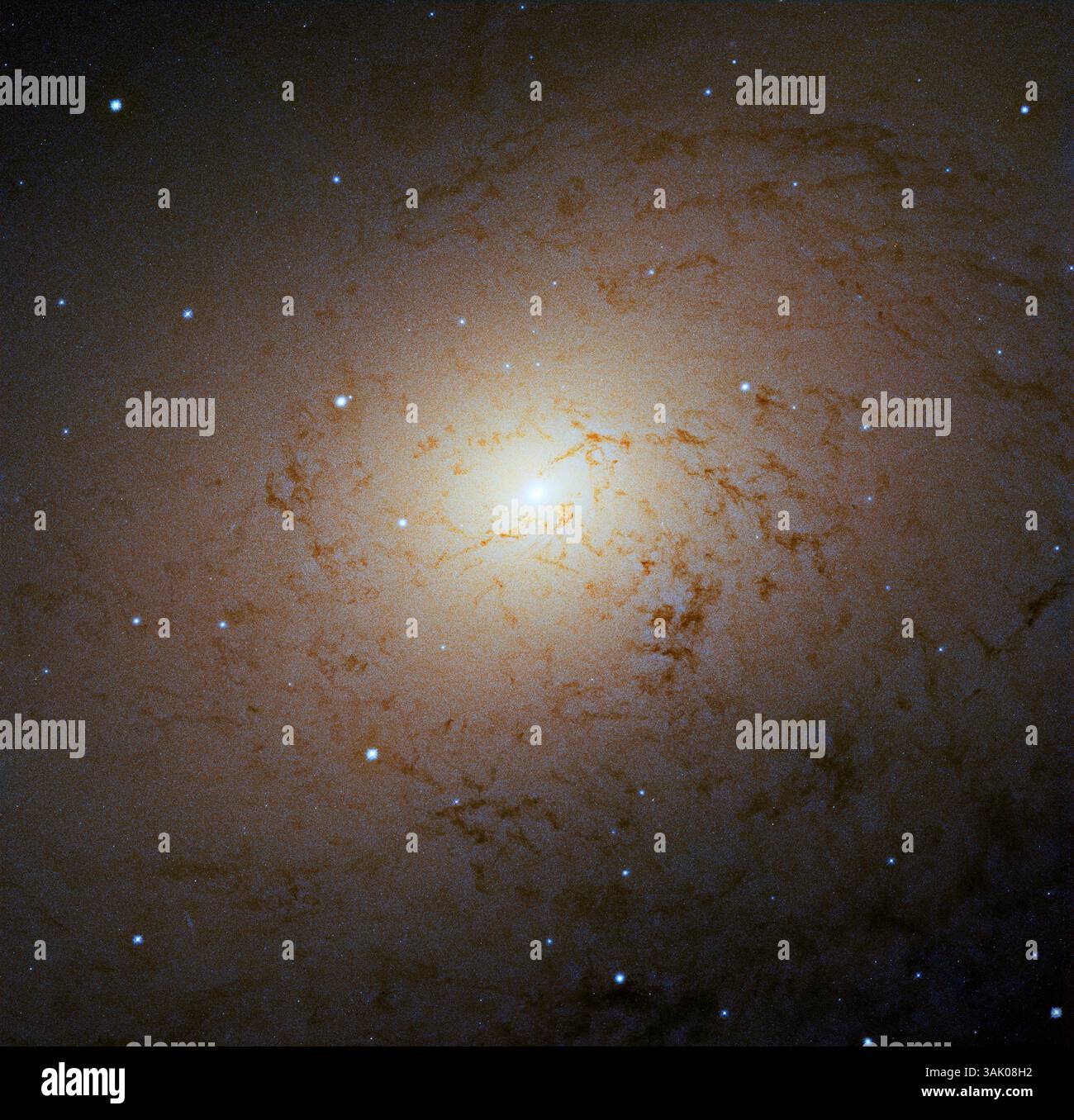 Andromeda galaxy core hi-res stock photography and images - Alamy