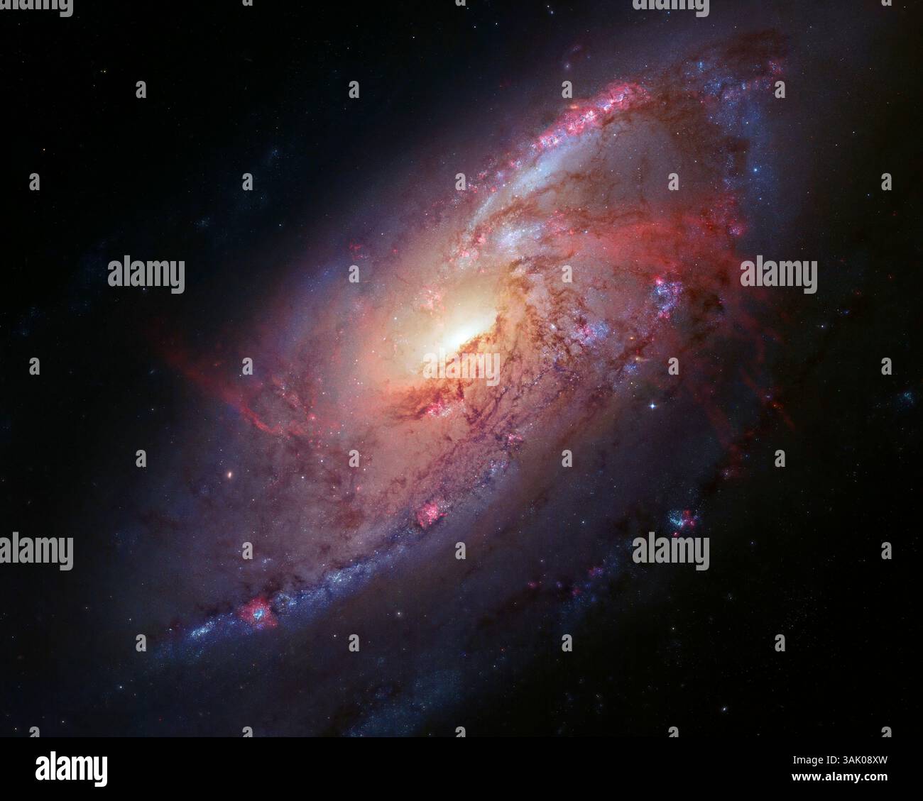 Spiral galaxy M106, optical image. Hubble Space telescope image of the spiral galaxy M106 (NGC ...