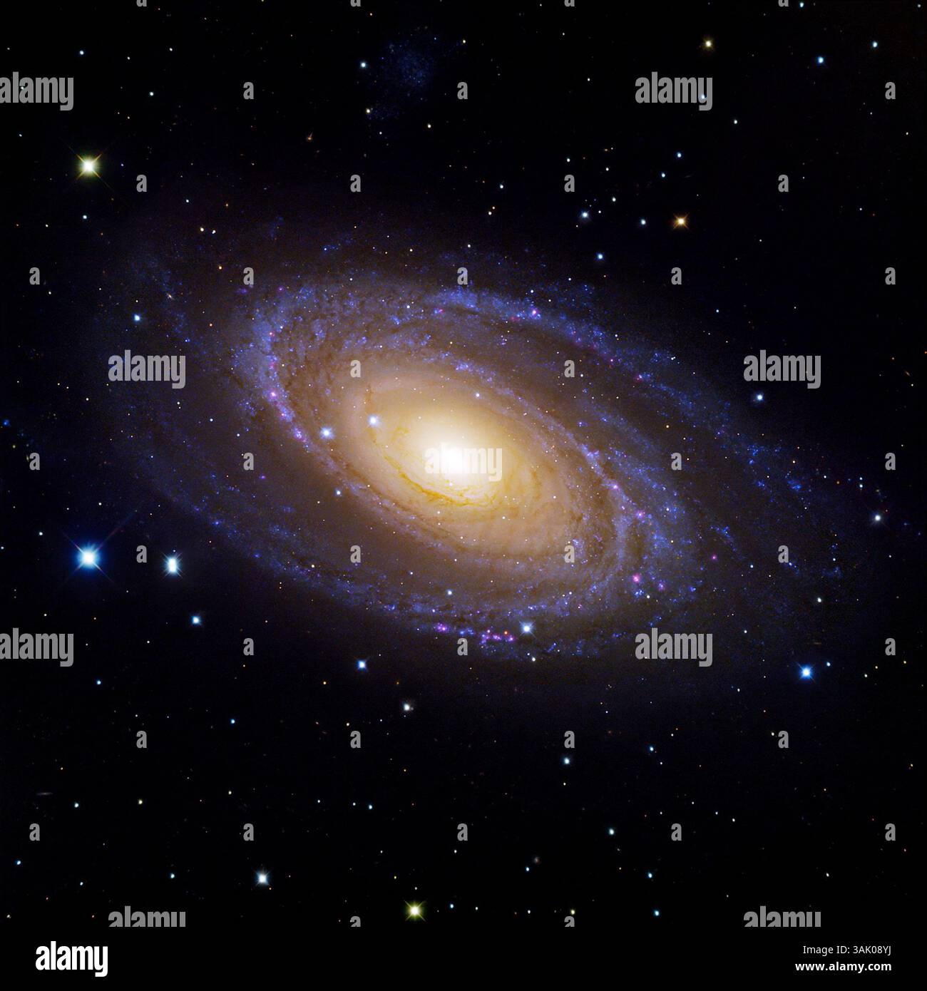 Bodes Galaxy (M33, NGC 3031), optical image. M81 is a spiral galaxy ...