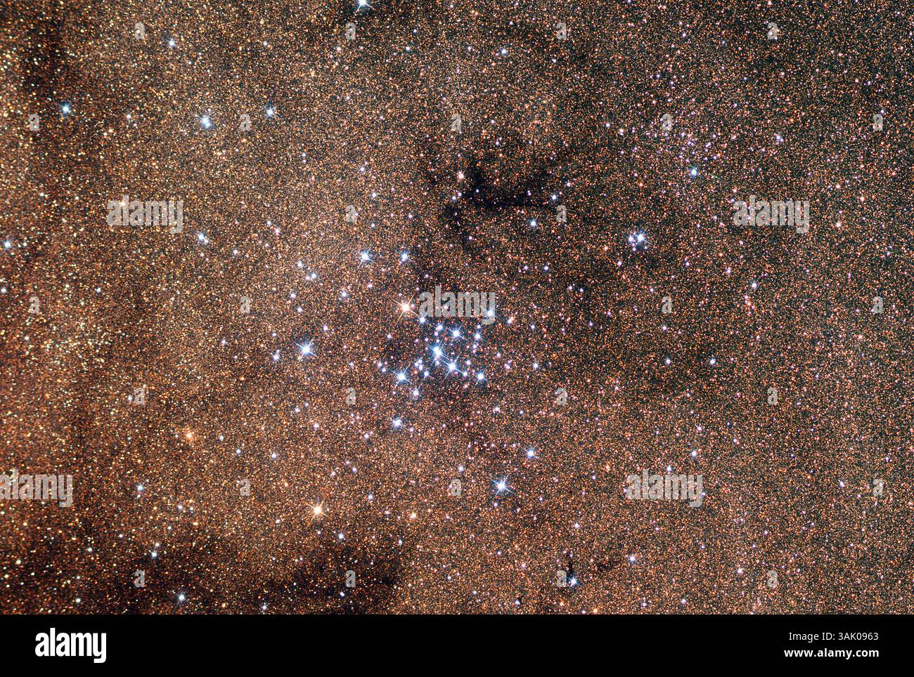 Open star cluster (M7), optical image. This cluster is sometimes called the Ptolemy cluster ...